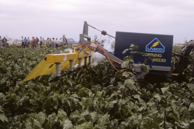 LASCO Lightning Weeder